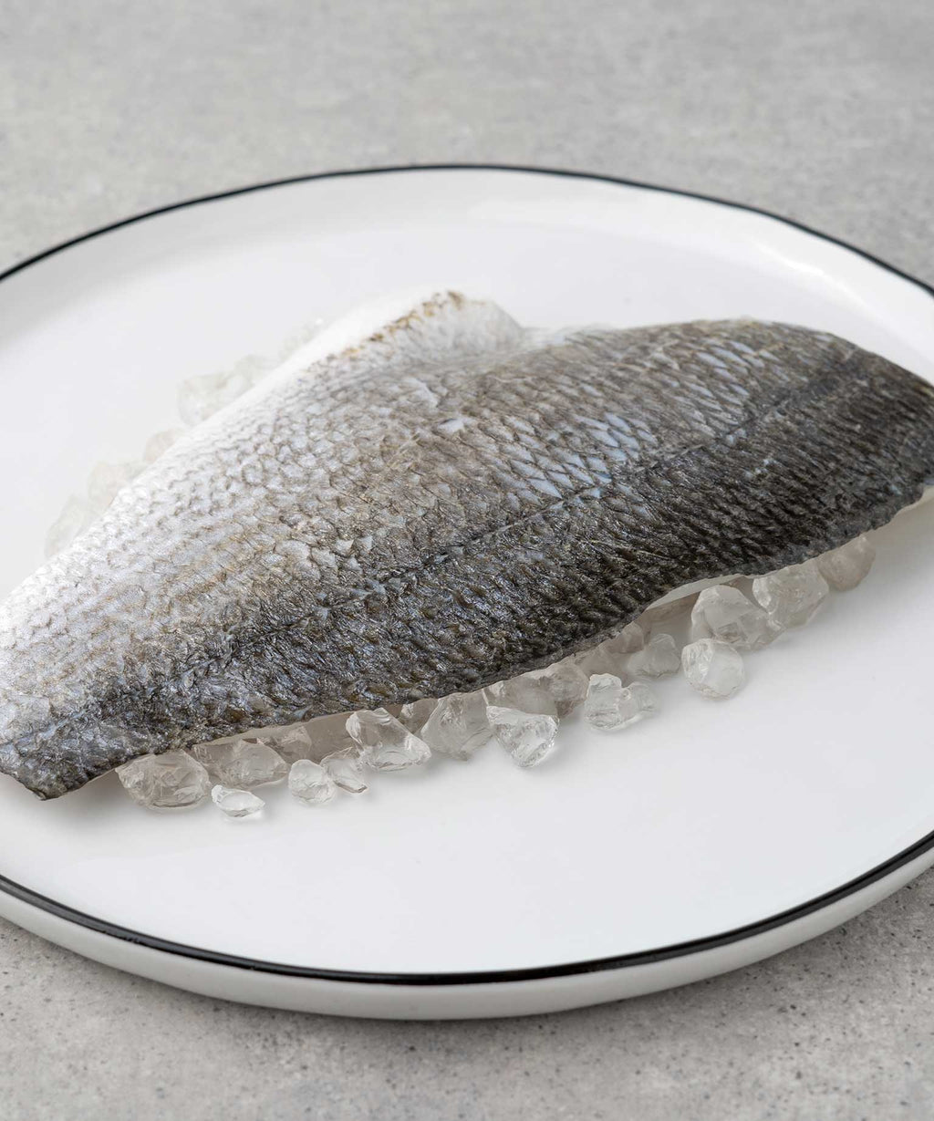 Fisch Probierpaket online kaufen | HONEST CATCH