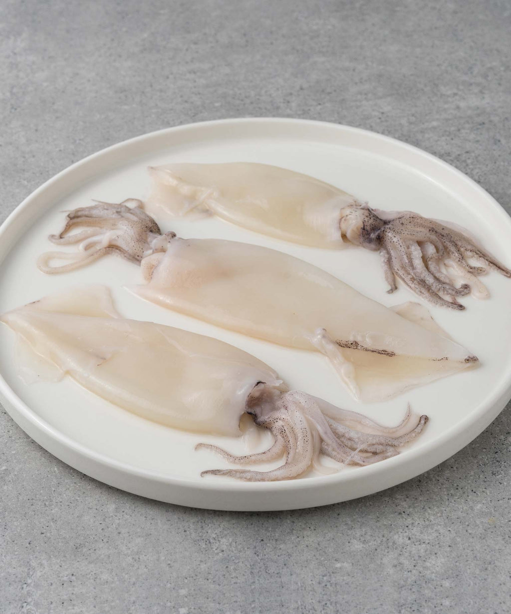 Patagonische Calamari online kaufen | HONEST CATCH