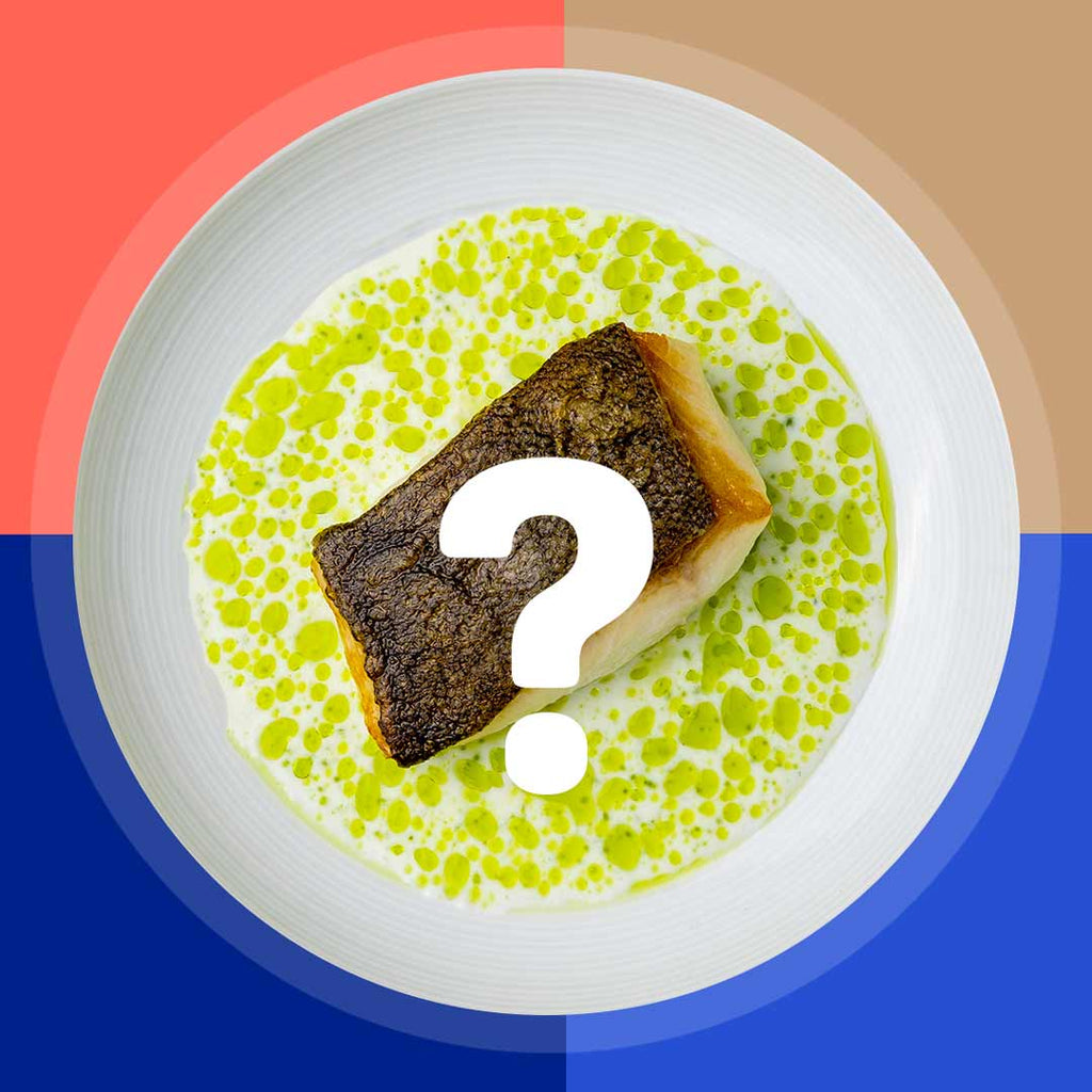So findest Du den perfekten Fisch für Dich | HONEST CATCH