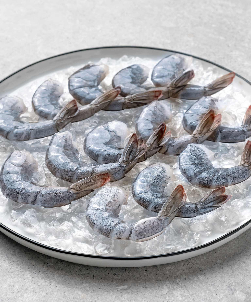 Buy HONEST CATCH Bundle online | HONEST CATCH