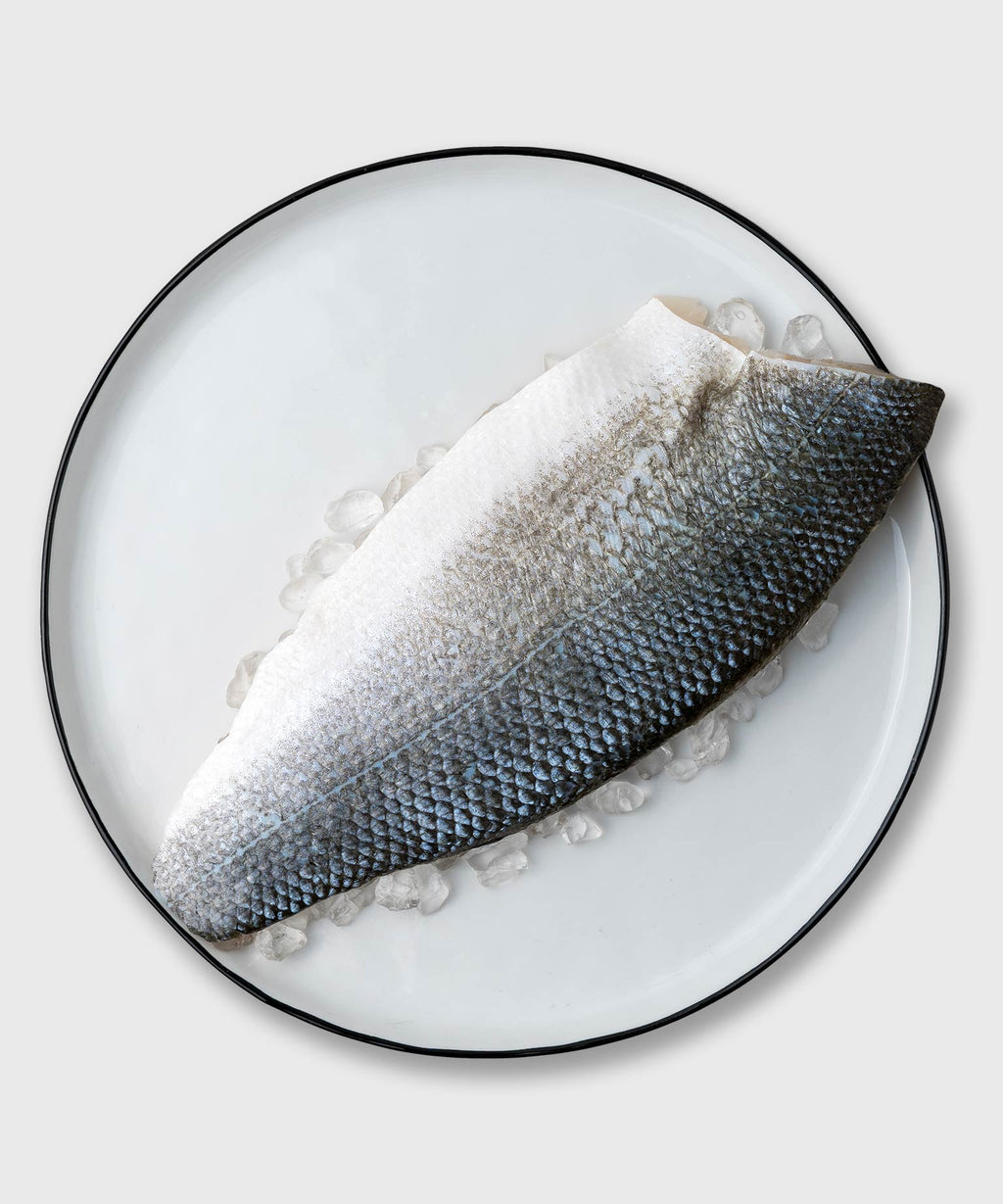 Buy Loup de mer fillet online now | HONEST CATCH