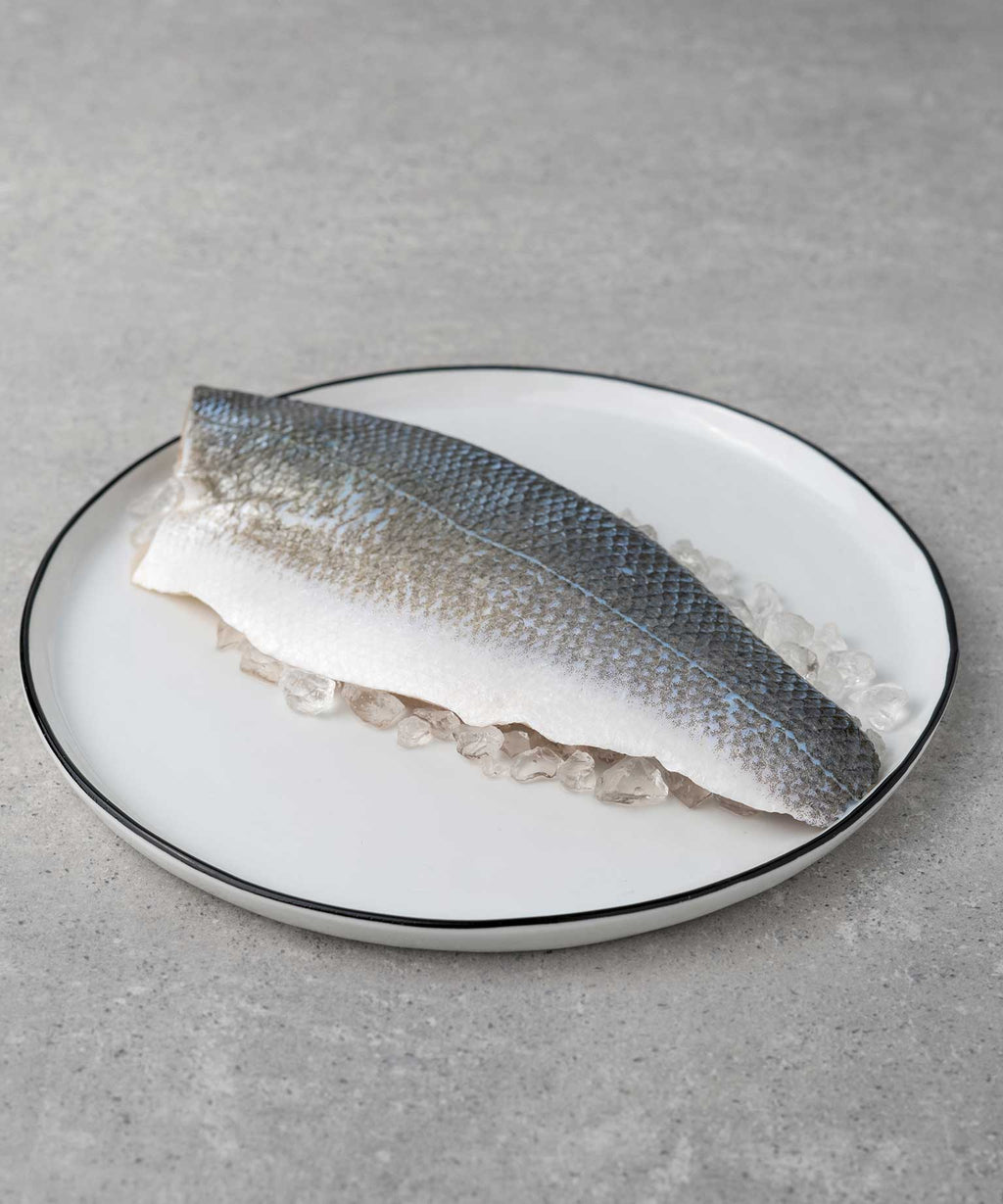 Buy Loup de mer fillet online now | HONEST CATCH