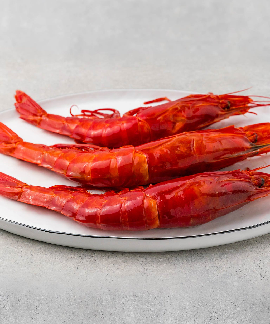 Buy whole Carabinero Deep Sea Shrimp | HONEST CATCH