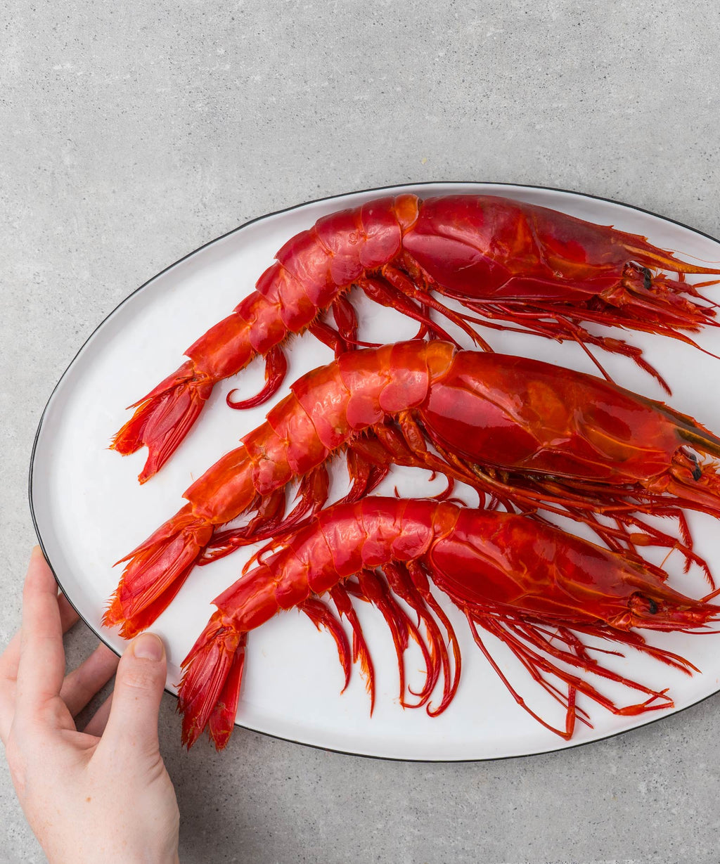 Buy whole Carabinero Deep Sea Shrimp | HONEST CATCH