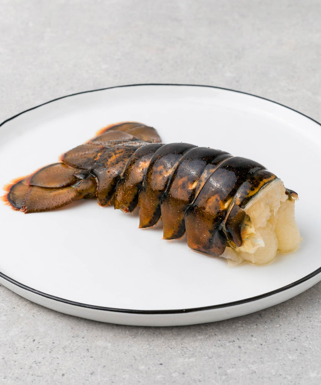Buy Canadian Lobster Tail online | HONEST CATCH