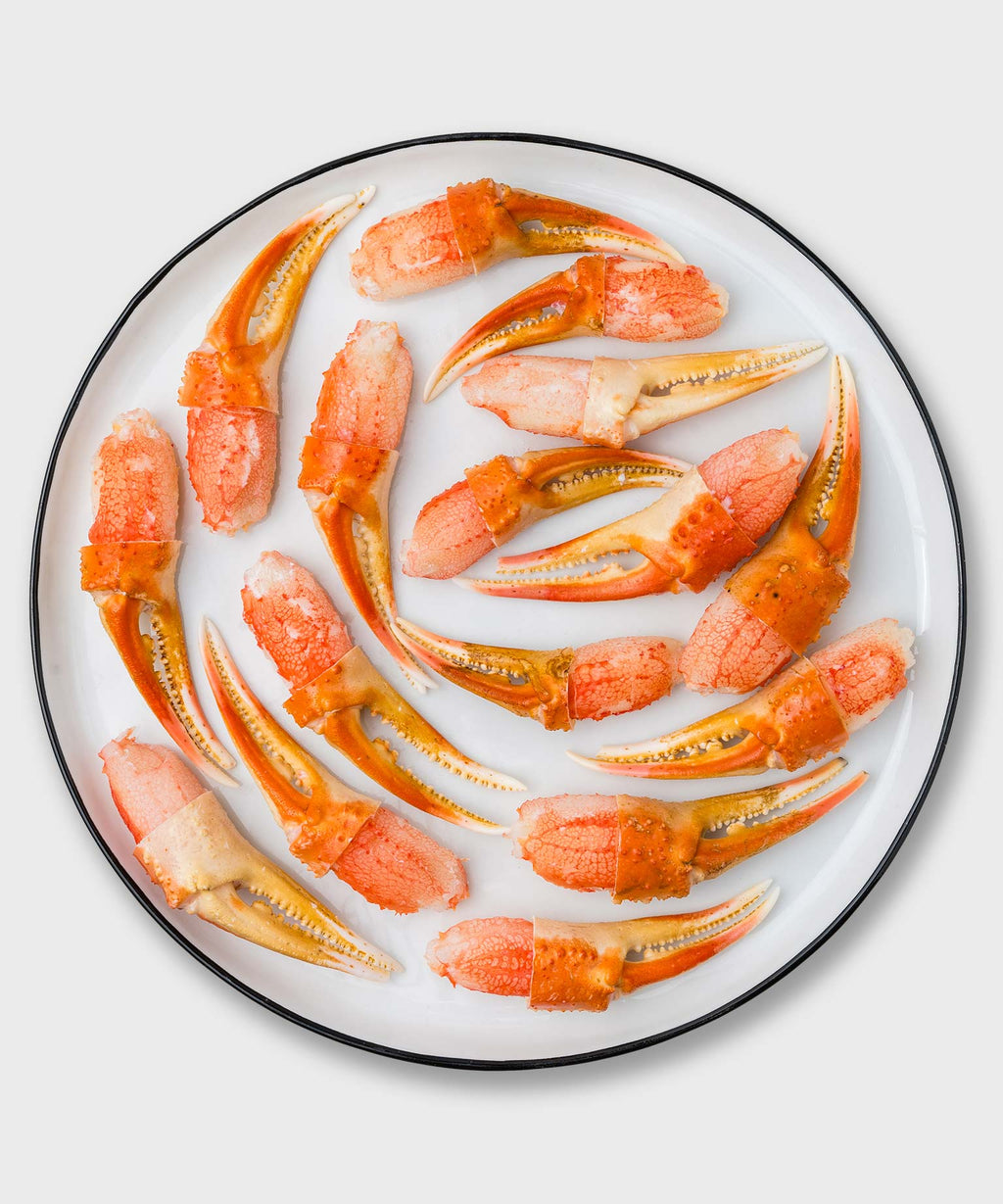 Buy snow crab cocktail scissors online | HONEST CATCH