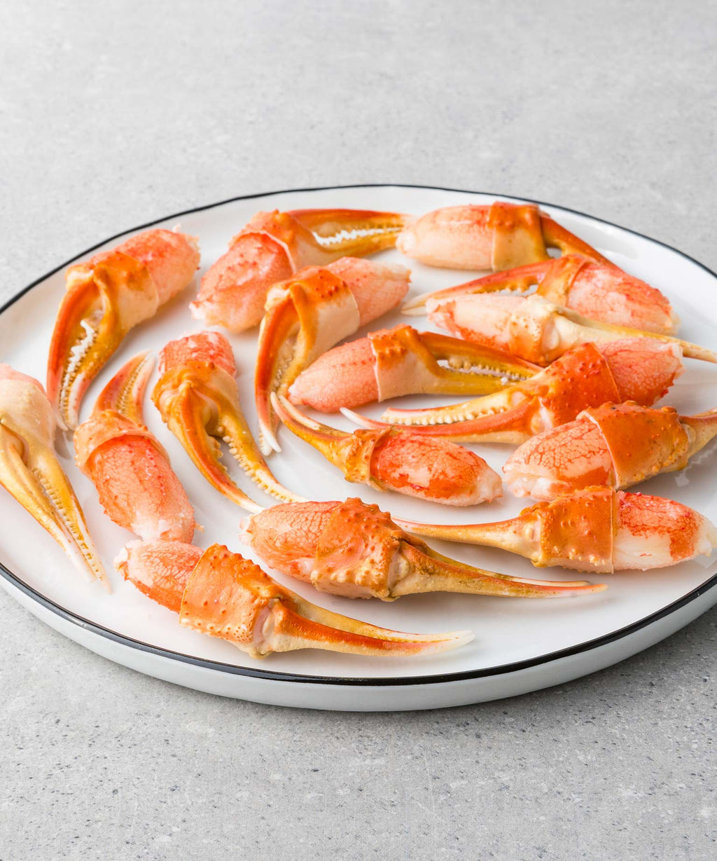 Buy snow crab cocktail scissors online | HONEST CATCH