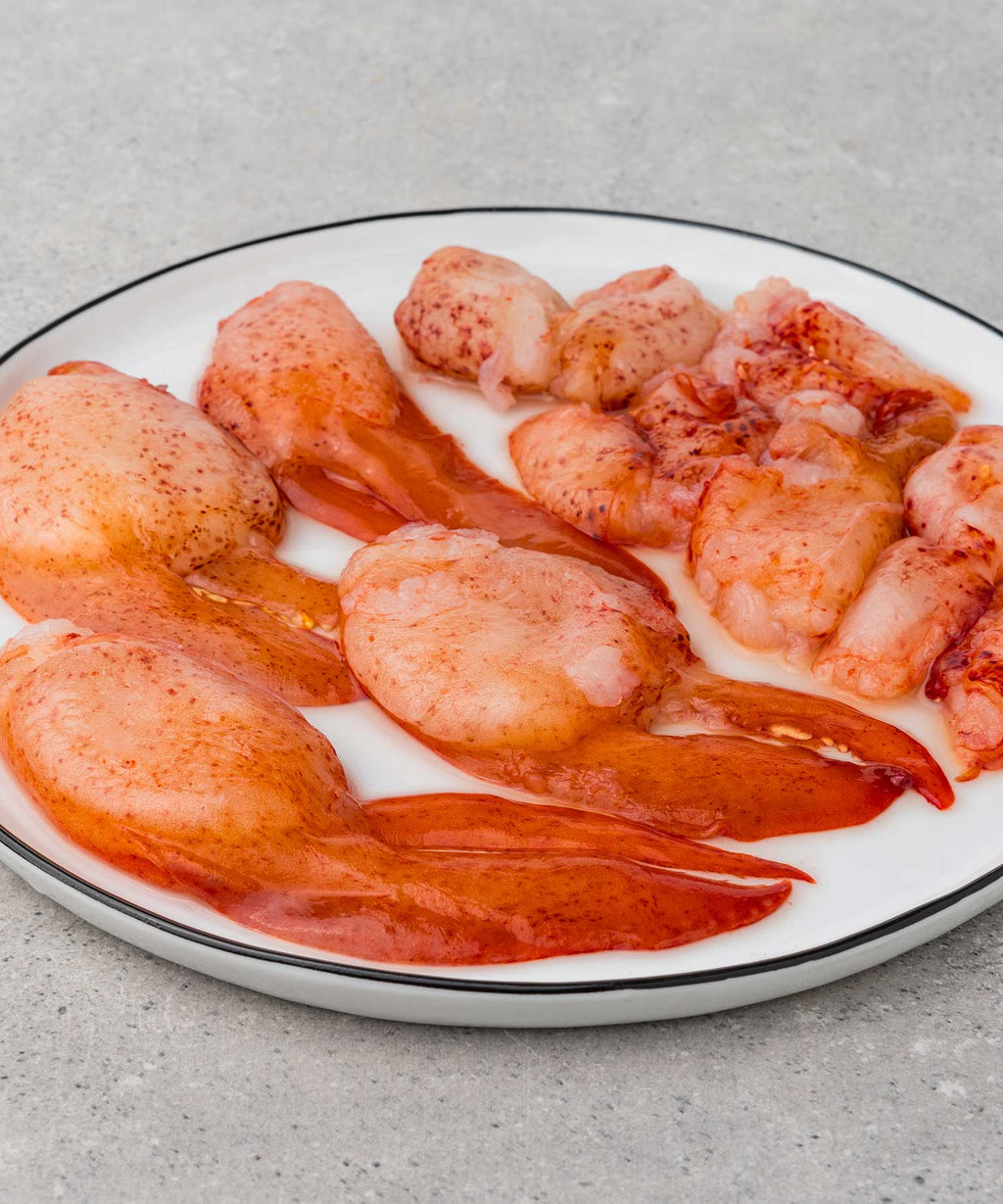 Buy lobster, claw & knuckle meat | HONEST CATCH