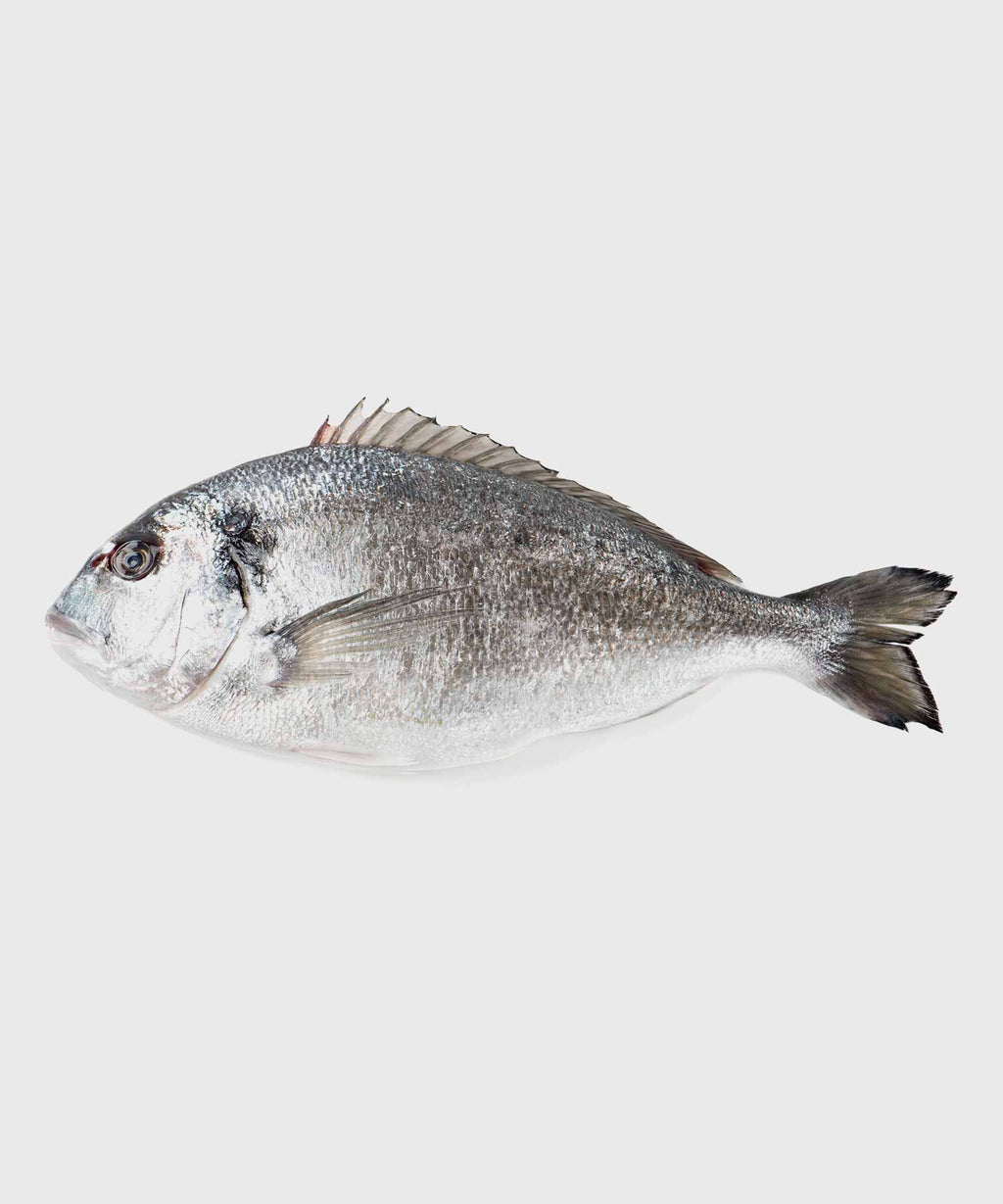 Buy valuepack of sea bream fillet online | HONEST CATCH