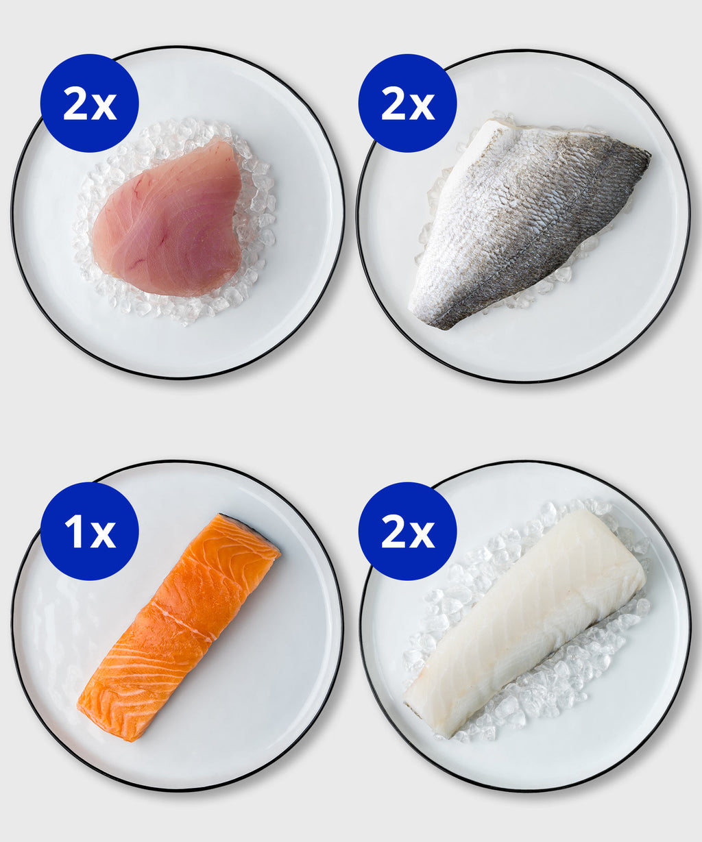 Fisch Probierpaket online kaufen | HONEST CATCH