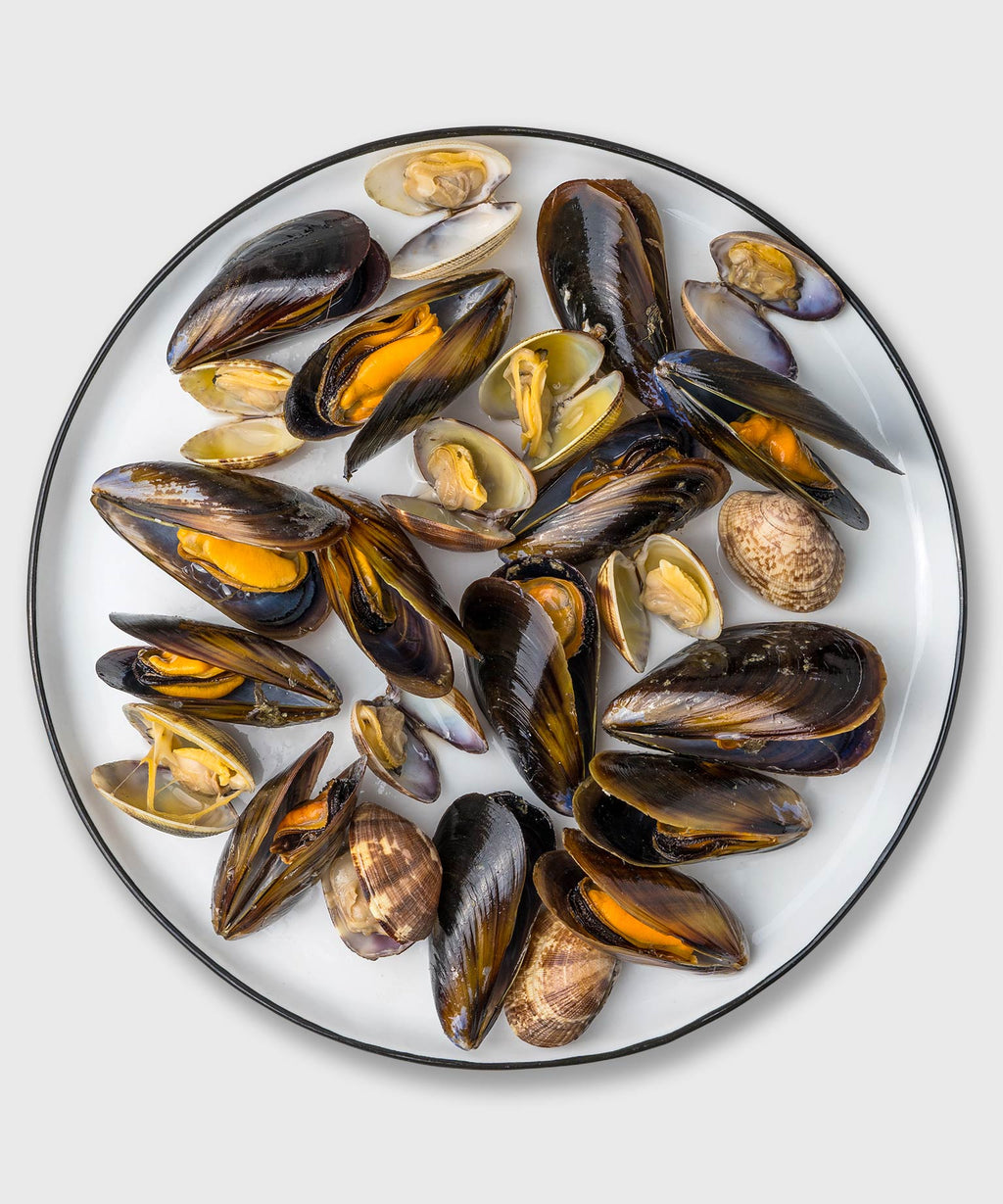 Shellfish mix with mussels and manila clams | HONEST CATCH