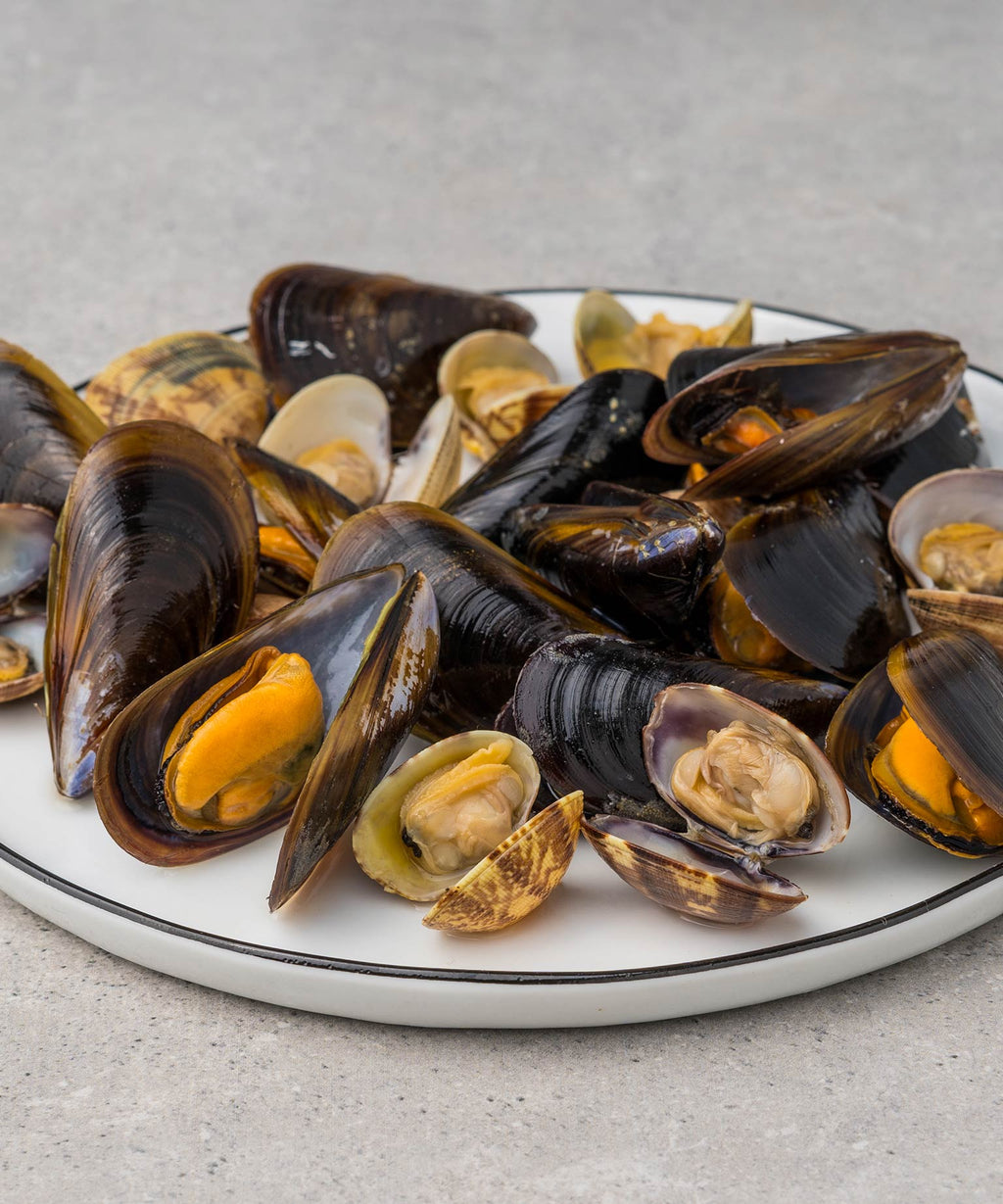 Shellfish mix with mussels and manila clams | HONEST CATCH
