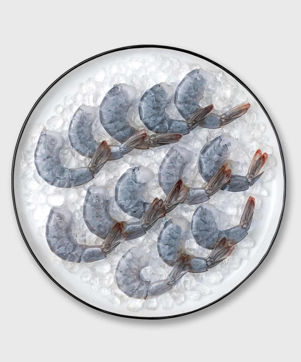 Shrimp tasting package, easy peel | HONEST CATCH