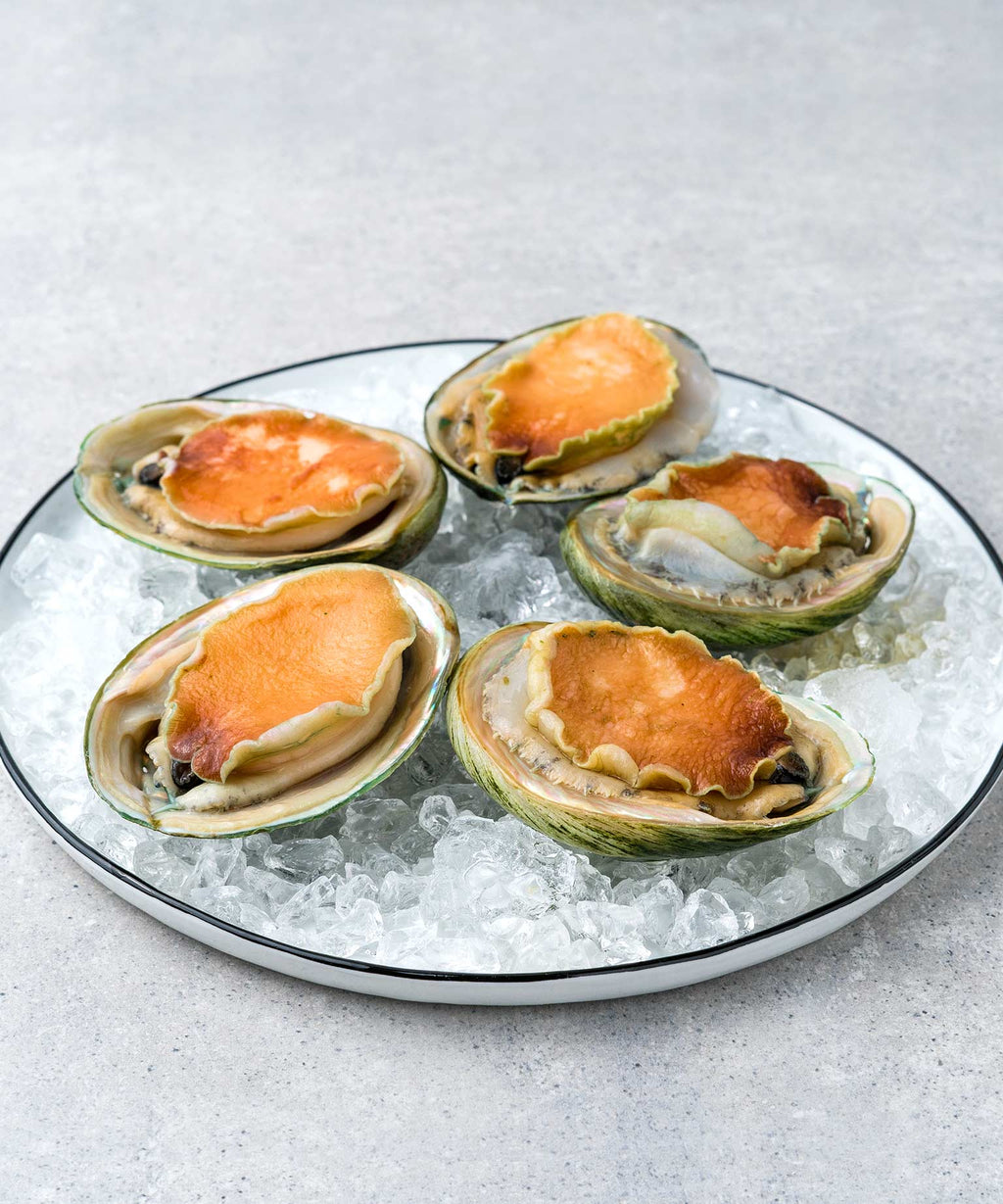 Buy Australian Greenlip Abalone online | HONEST CATCH