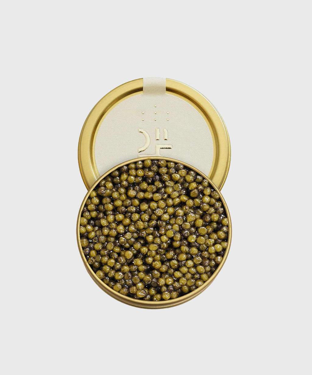 N25 Caviar Kaluga Hybrid buy online now | HONEST CATCH