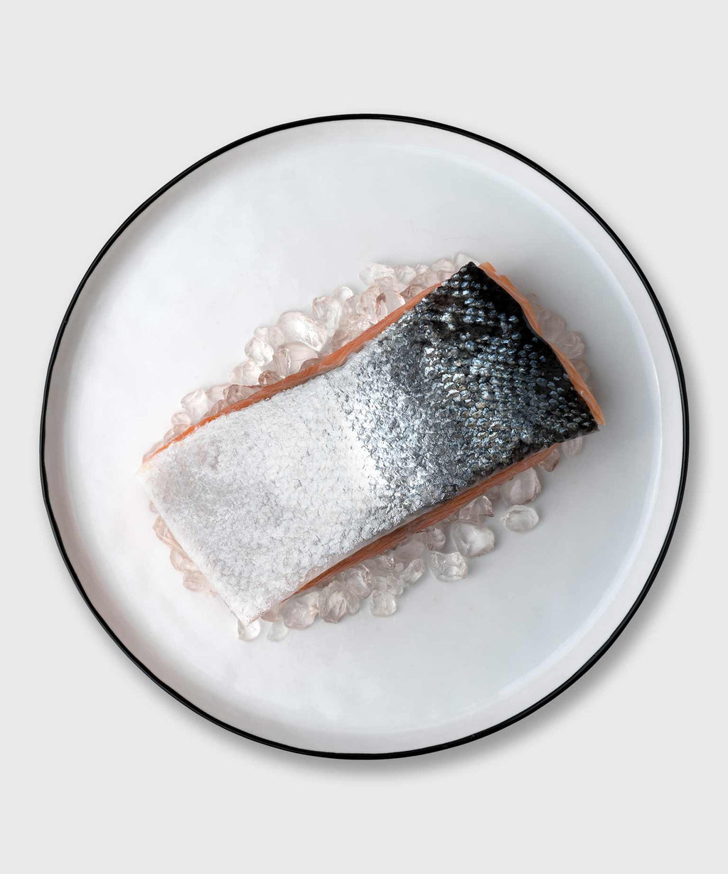 Buy Ora King Salmon value pack online | HONEST CATCH