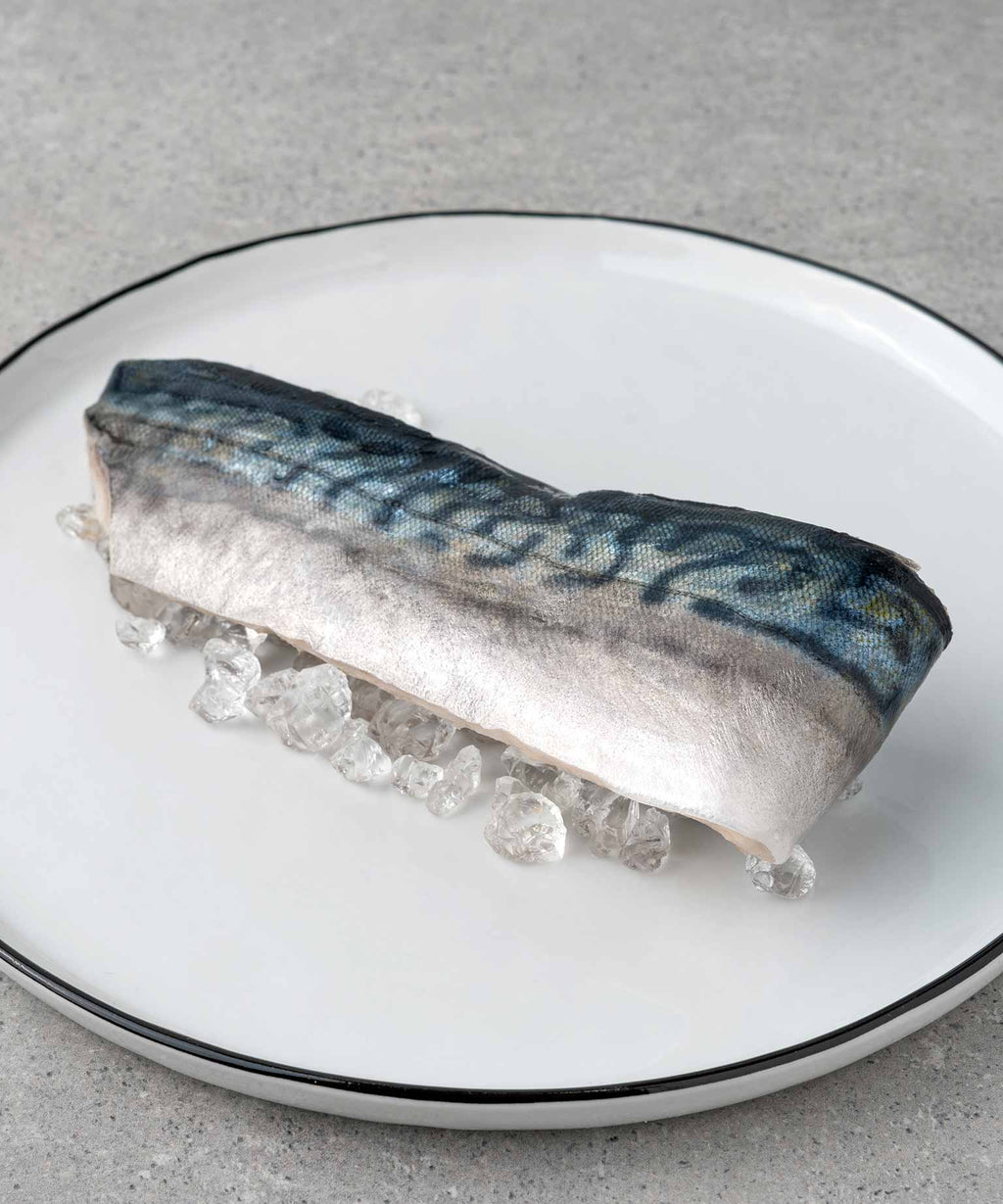 Buy Breton mackerel fillet online | HONEST CATCH