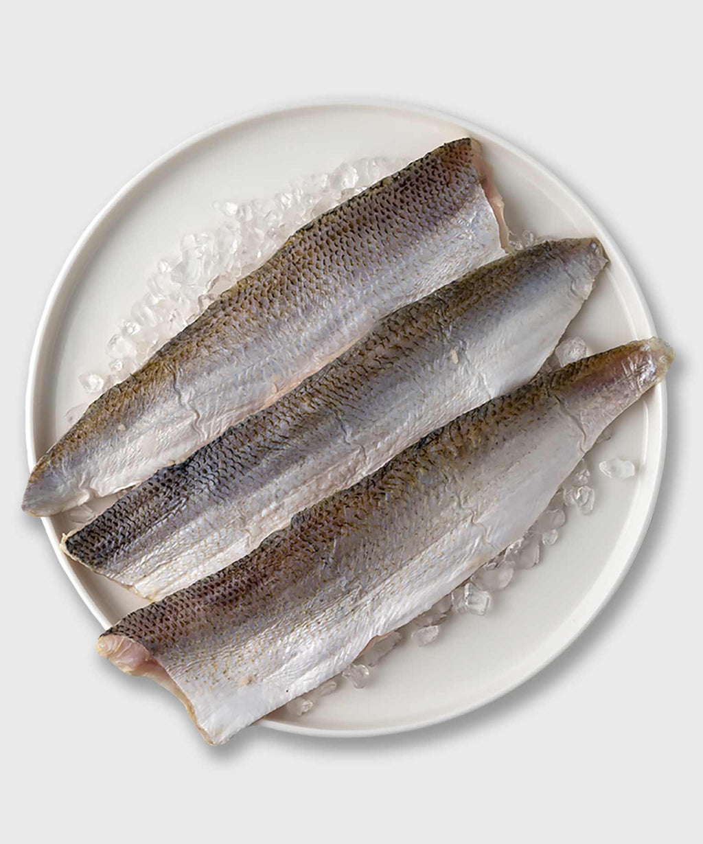 Buy whitefish fillet with skin online now | HONEST CATCH