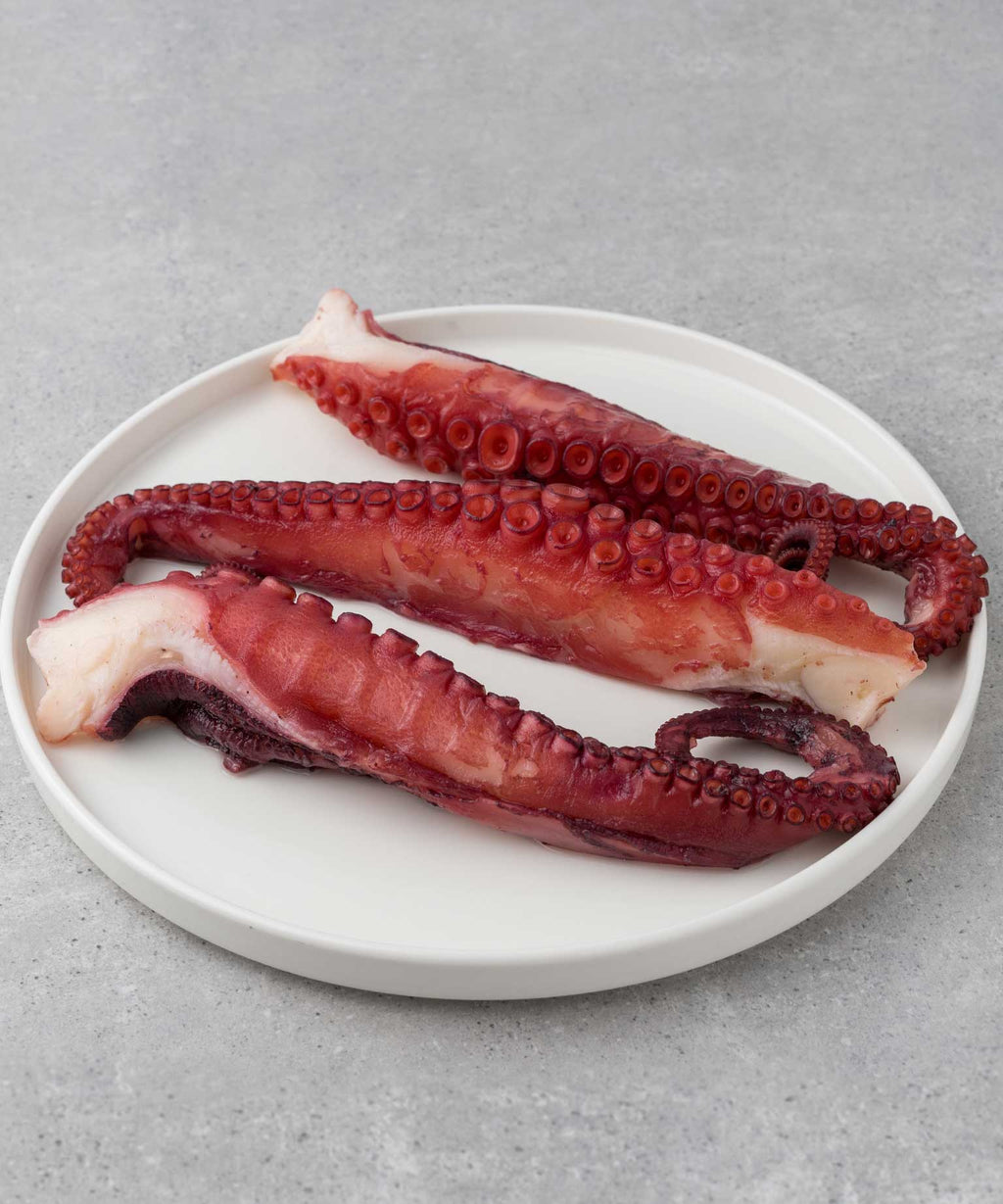 Buy pre-cooked Spanish Octopus Arms | HONEST CATCH