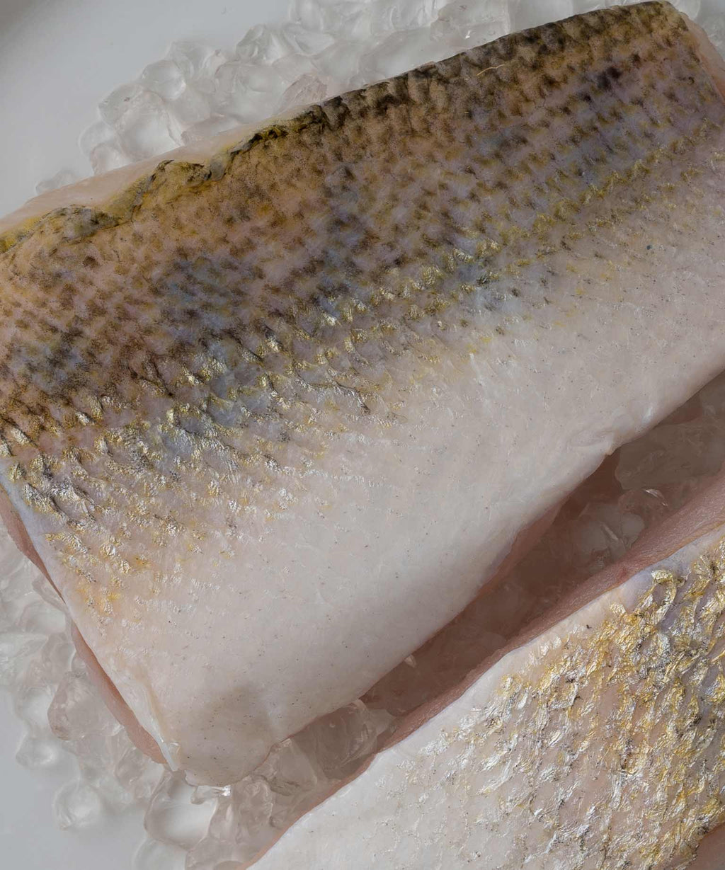 Buy zander fillets with skin online now | HONEST CATCH